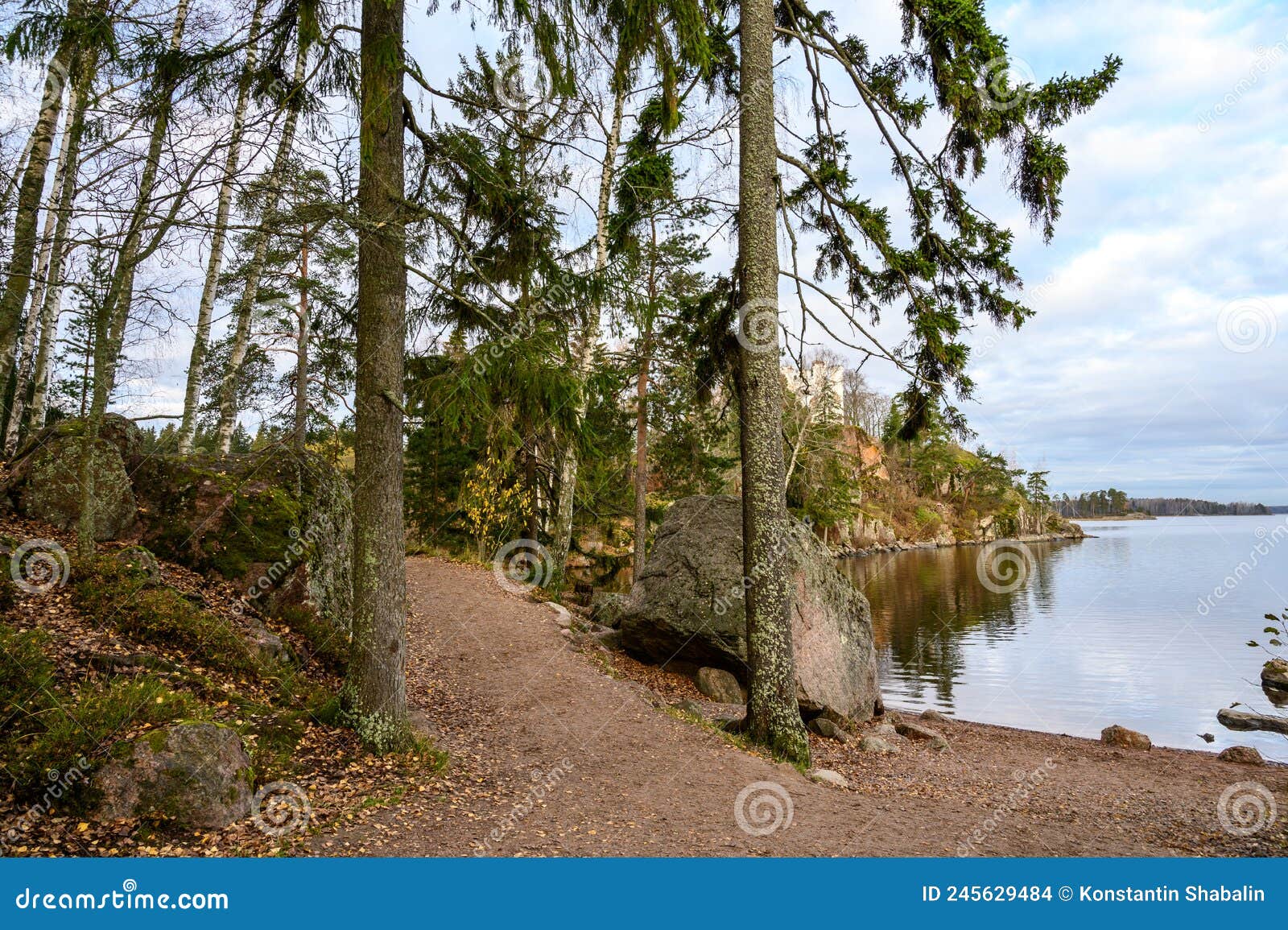 Sandy Path Along the Coast. Beautiful Forest and Fresh Air. Sandy Path ...