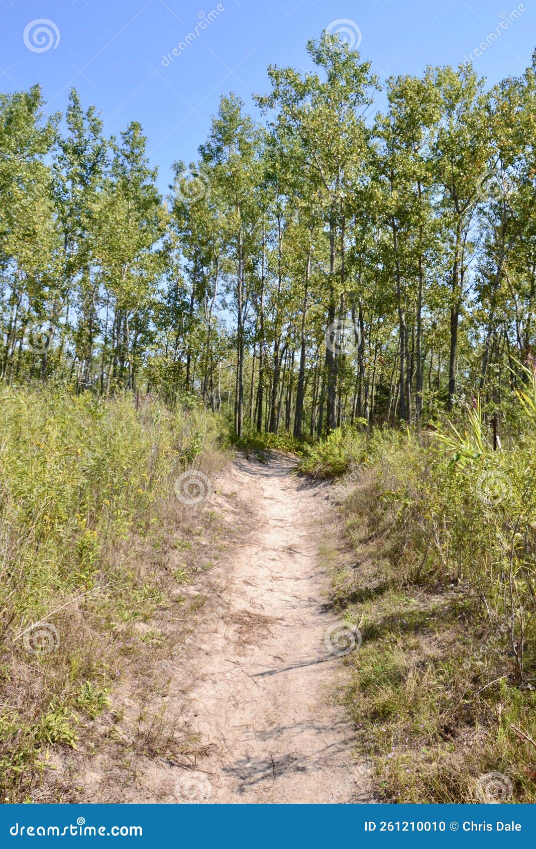 Sandy Path Along Hiking Trail at Presqu Ile Stock Photo - Image of ...