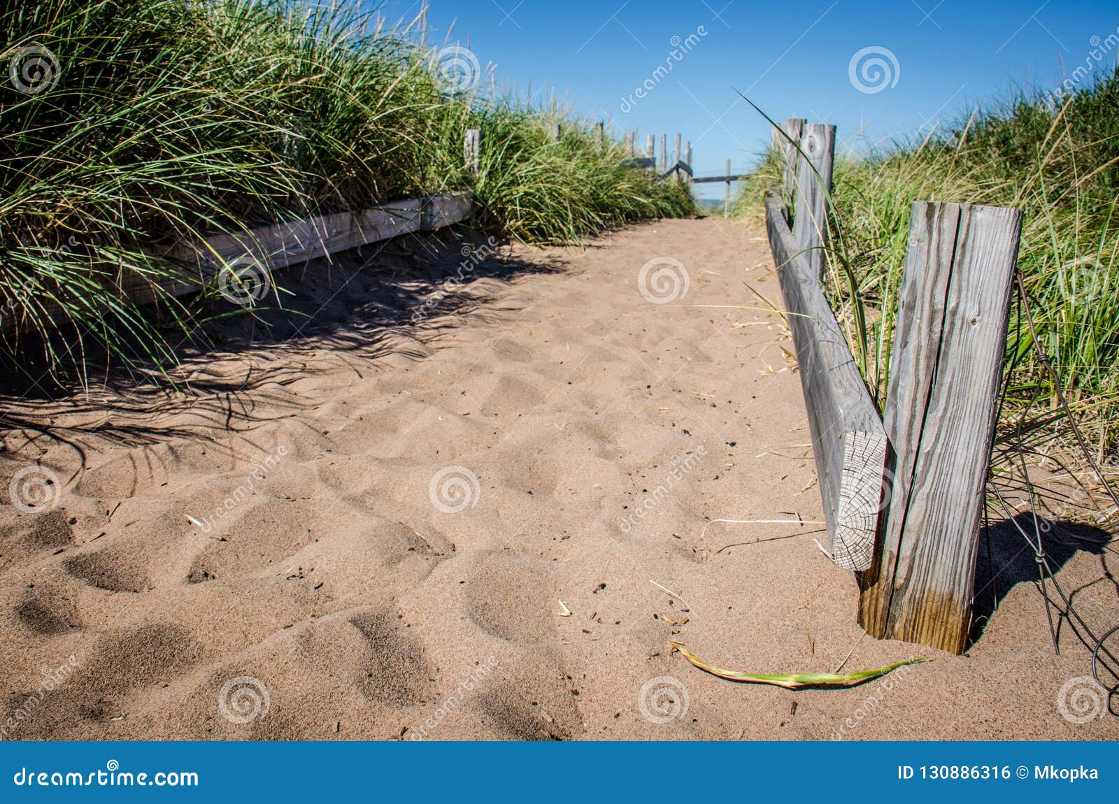 Sandy Path and Beach Grass Leads To Park Point Beach in Duluth MN Stock ...