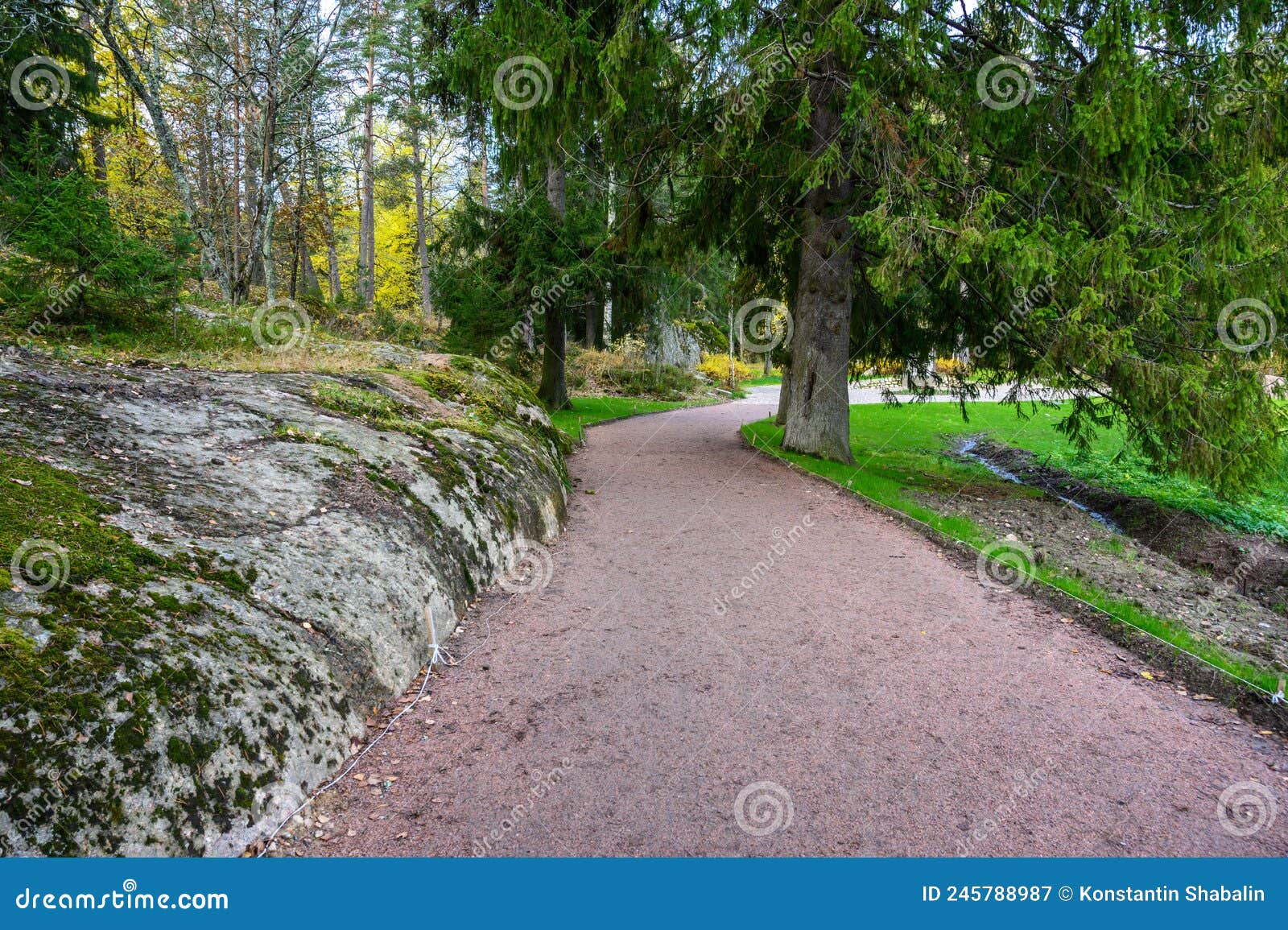 Sandy Path. Beautiful Forest and Fresh Air. Sandy Path. Walk Along the ...