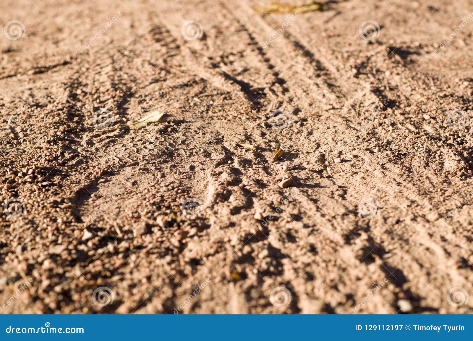 Sandy Path with Cycle Bike Tracks with Perspective. Background, Texture ...