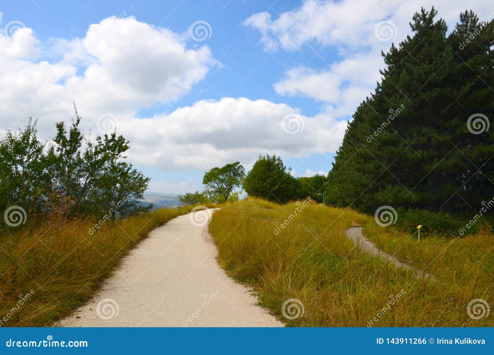 Sandy Path, Going Up through a Meadow of Yellow and Green Grass ...