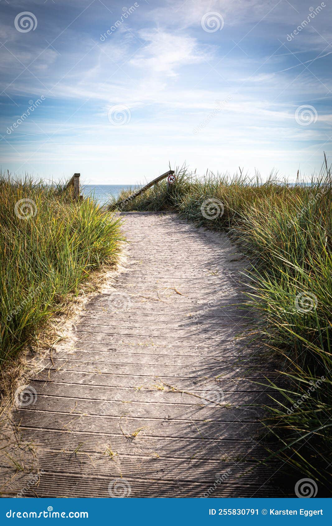 Sandy Path Leads Over the Dunes To the Baltic Sea Beach Stock Image ...