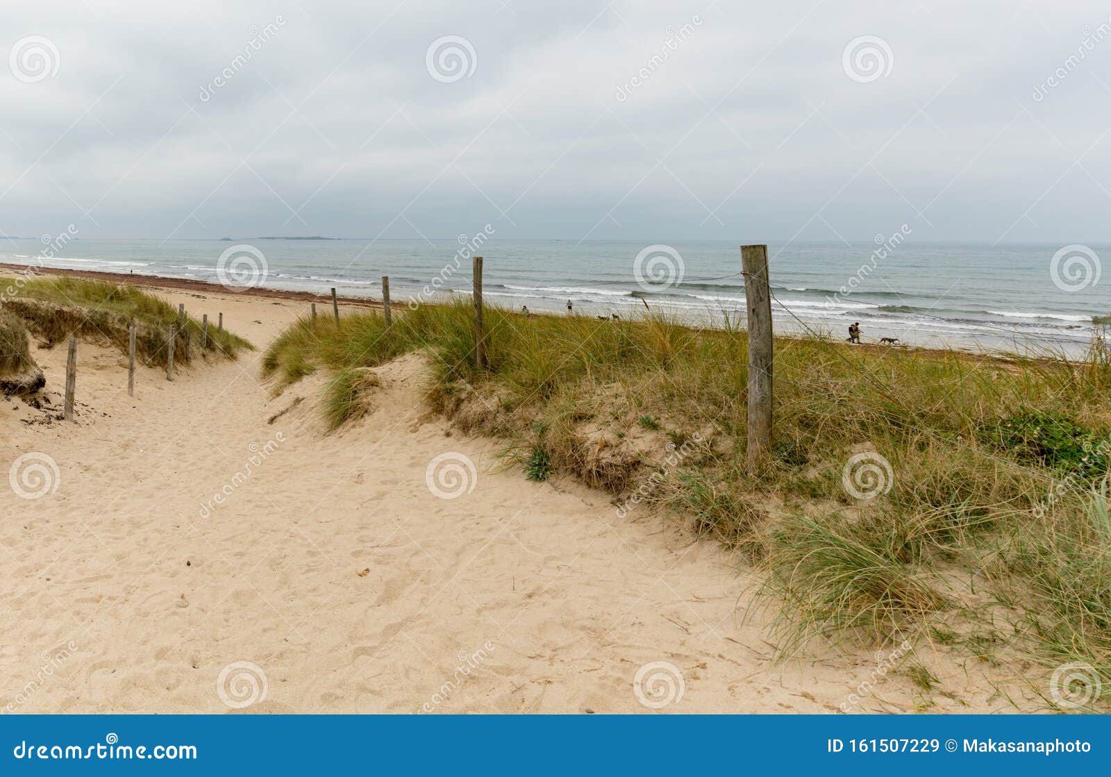 Sandy Path Leads To an Wild Beach Editorial Stock Image - Image of ...