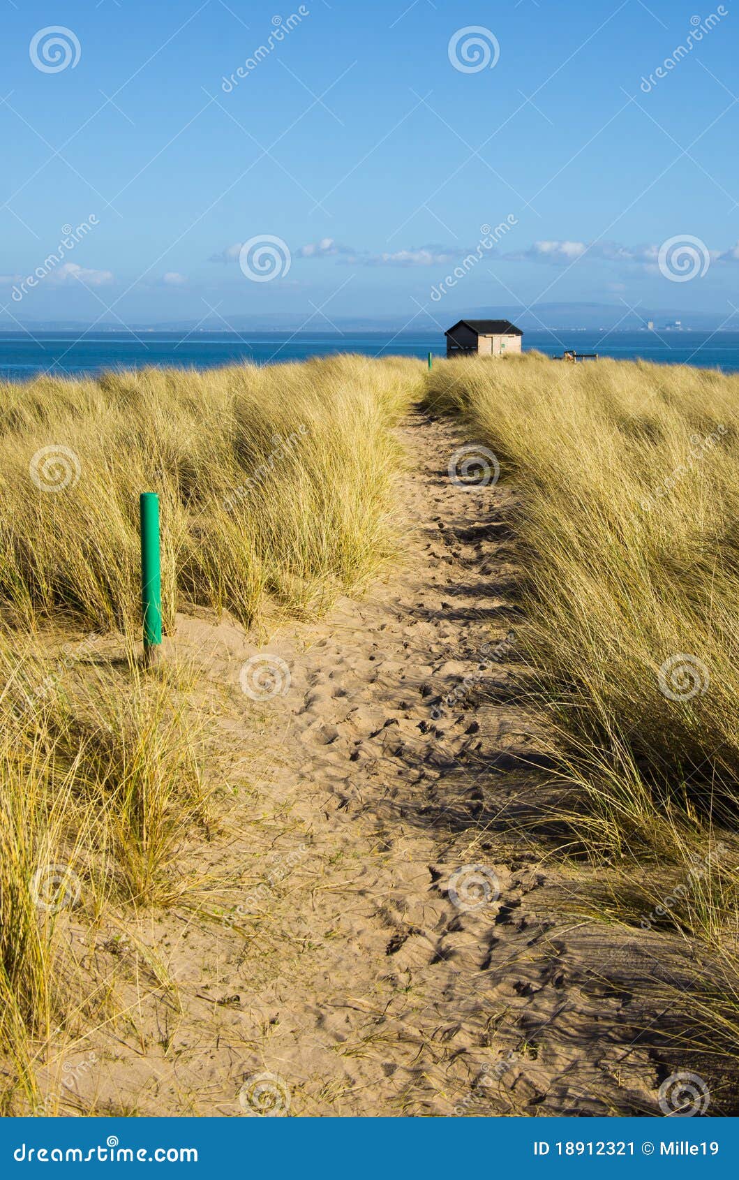 A Sandy Path On An Outer Banks Island Through Tall Marsh Grass Royalty ...
