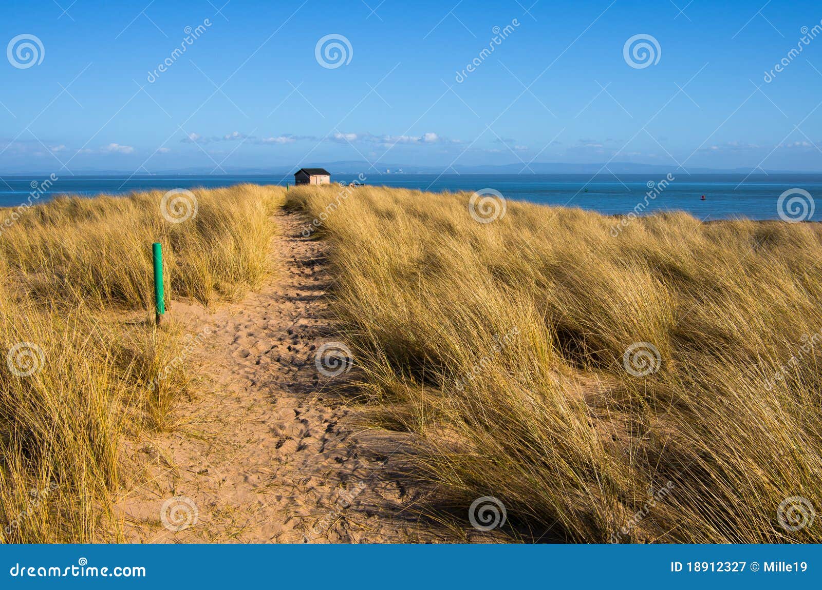 A Sandy Path On An Outer Banks Island Through Tall Marsh Grass Royalty ...