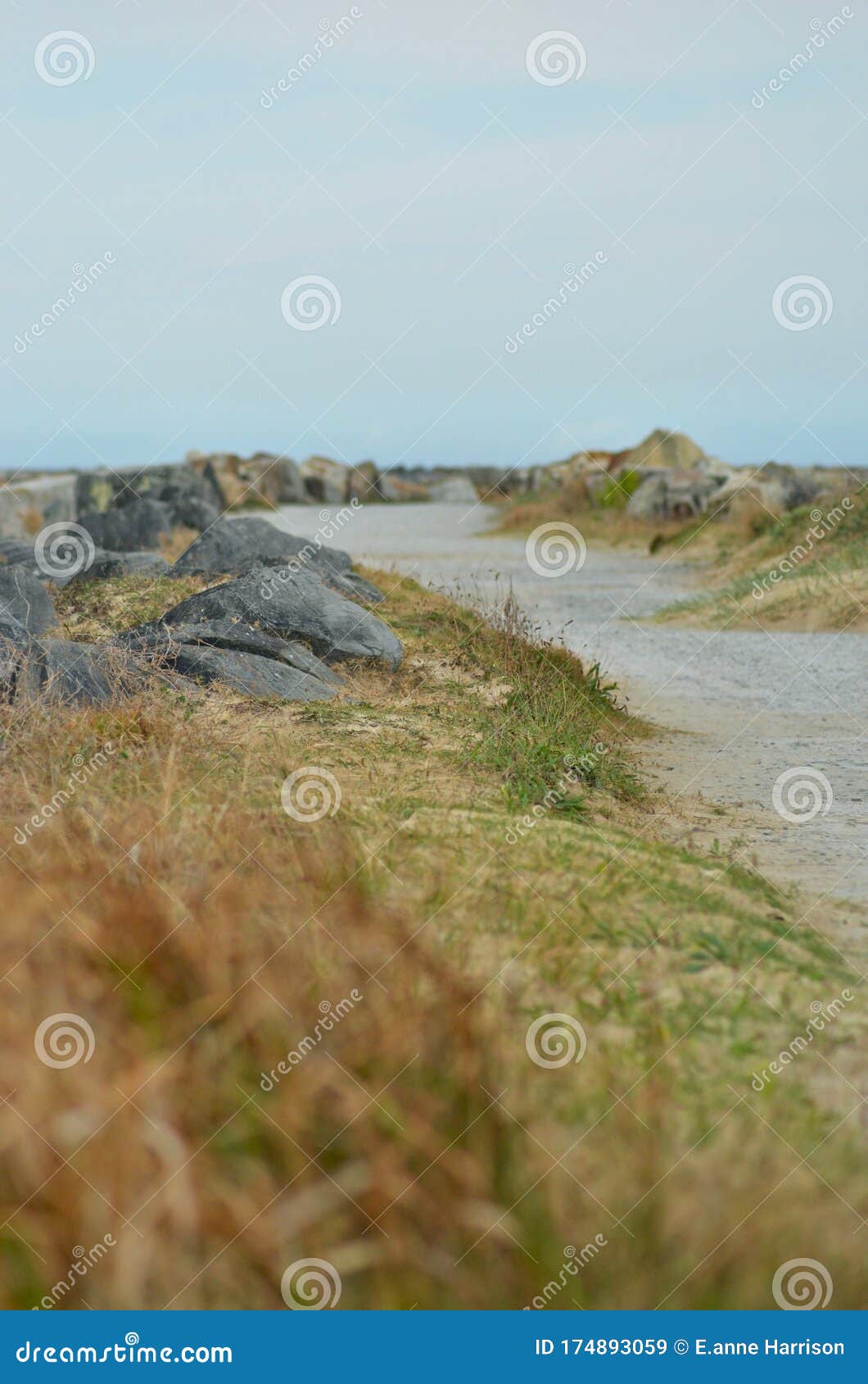 A Sandy Path through Rocks and Grasses. Stock Image - Image of grass ...