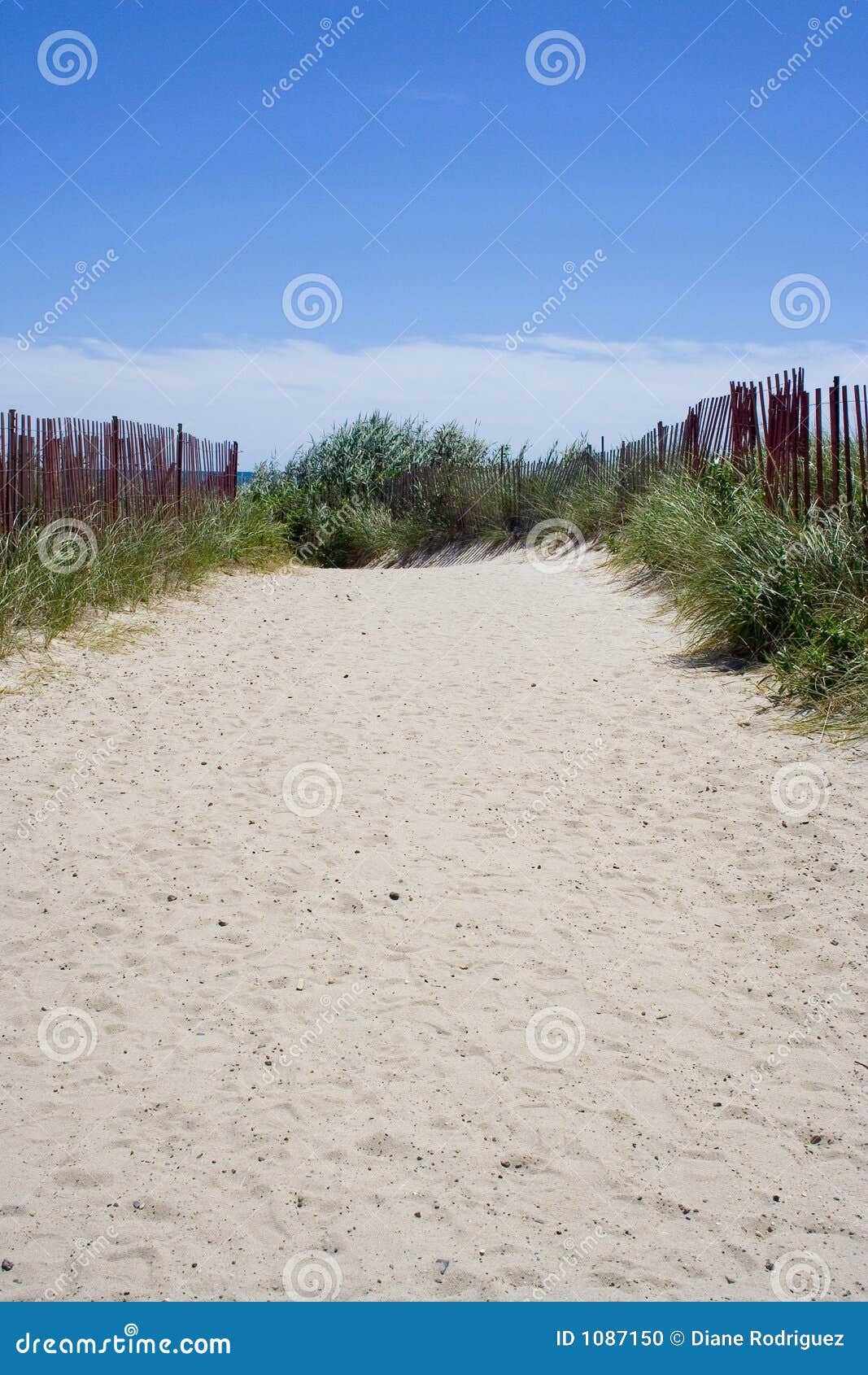 Sandy Path to the Beach stock photo. Image of sand, beach - 1087150