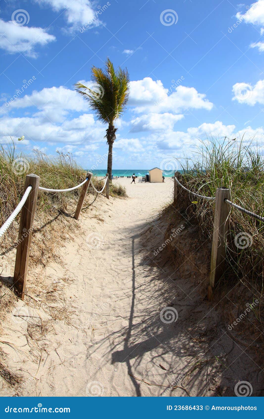 Sandy Path to Beach stock image. Image of path, grass - 23686433