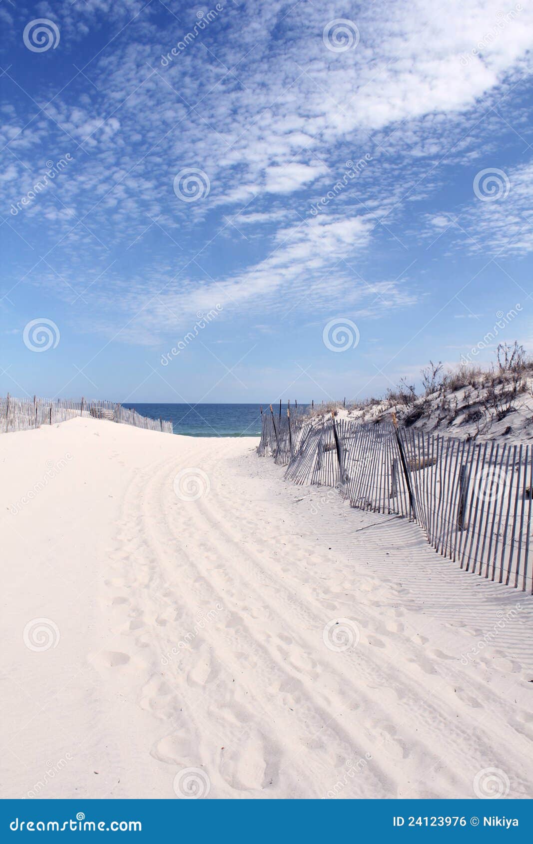 Sandy Path To the Beach stock photo. Image of shore, light - 24123976