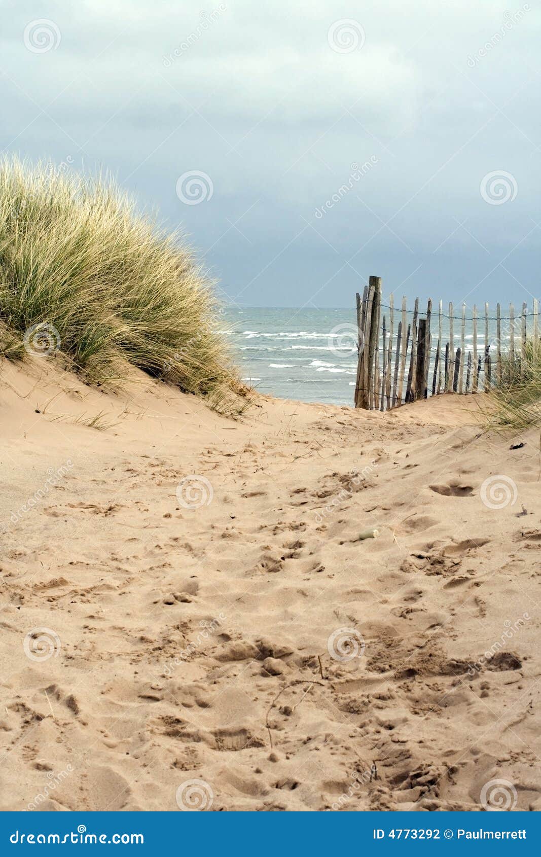 Sandy path to the beach stock photo. Image of vacation - 4773292