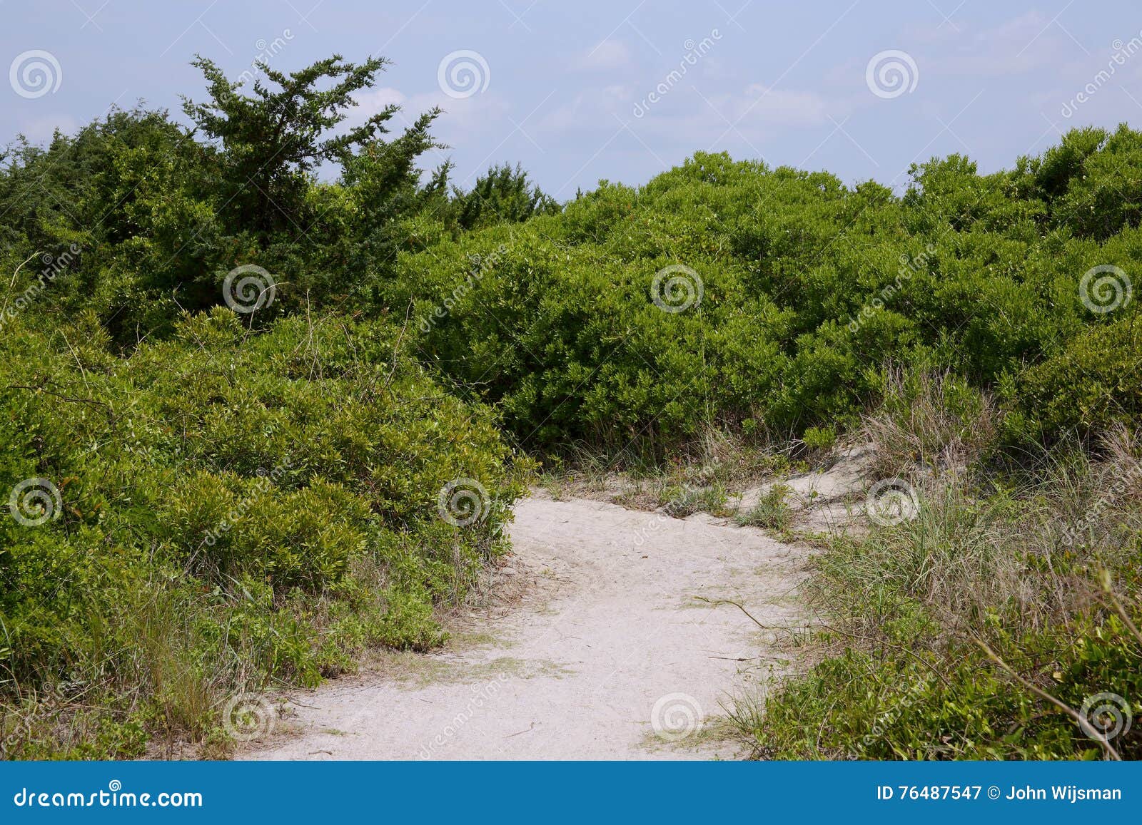 Sandy Path To Beach through Bushes and Grass Stock Image - Image of ...