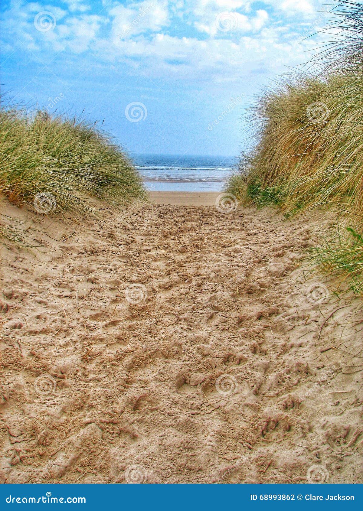 A Sandy Path To the Beach stock photo. Image of worn - 68993862