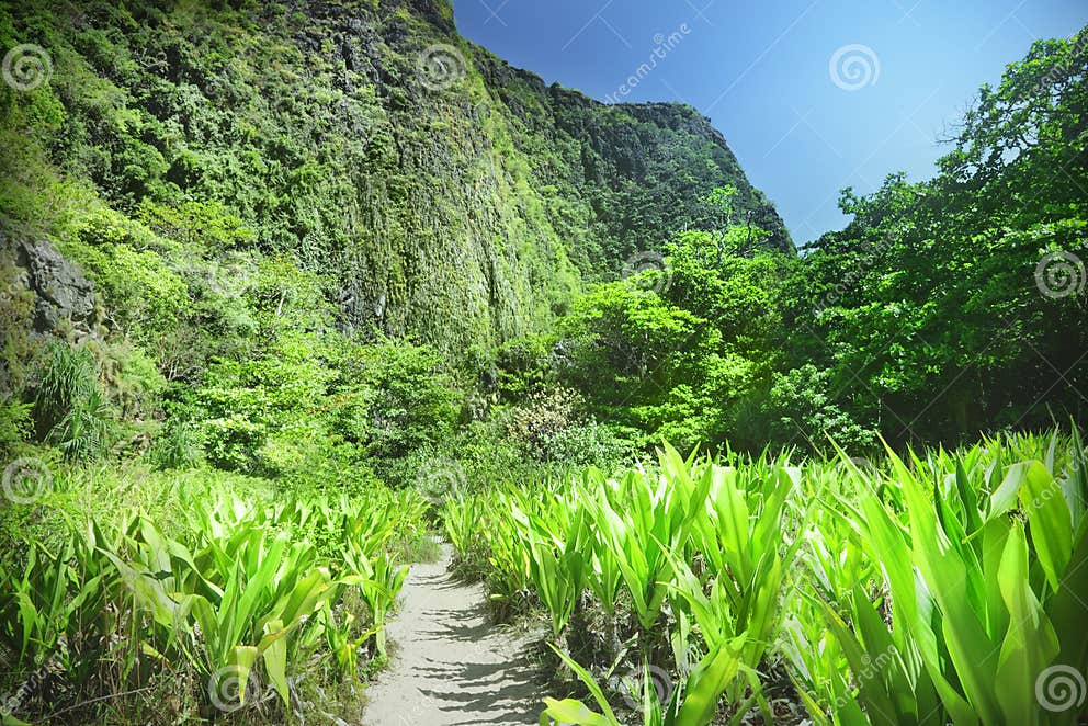 Sandy path to the beach stock photo. Image of mountain - 33782290