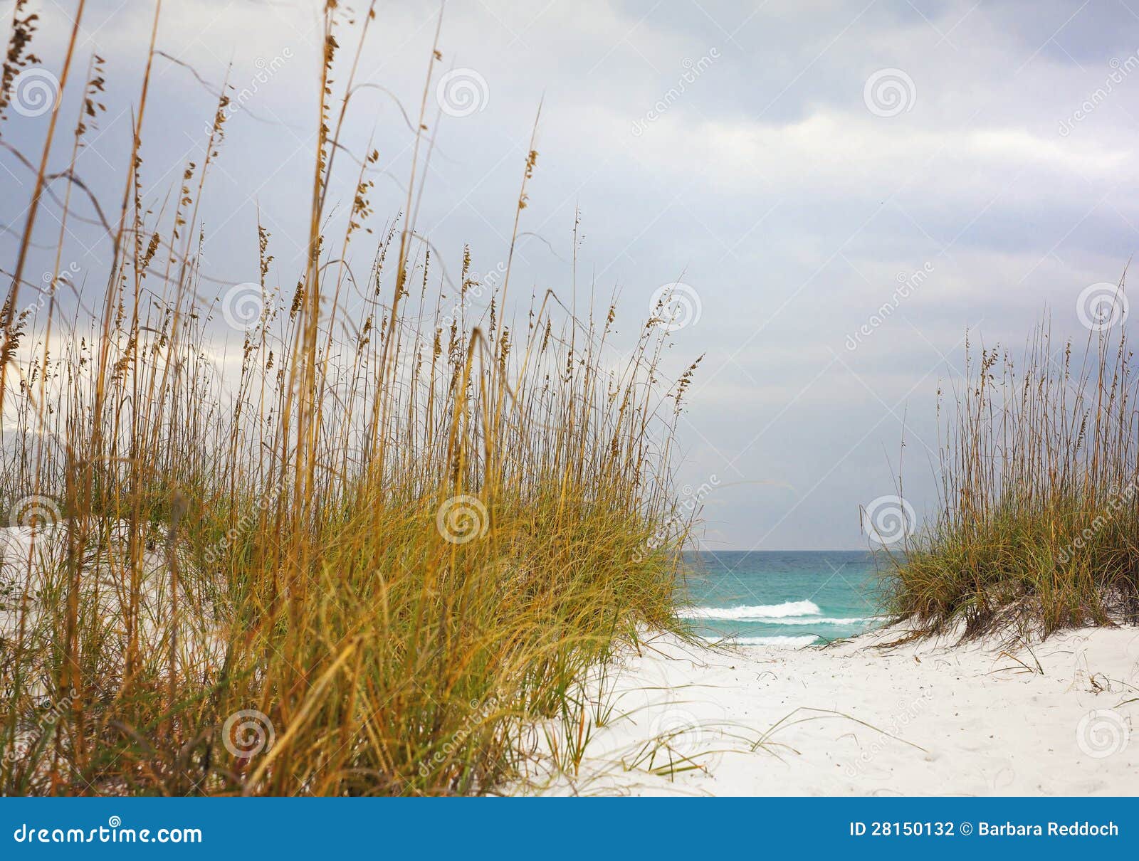 Sandy Path To Beautiful Beach Stock Photo - Image of landscape, florida ...