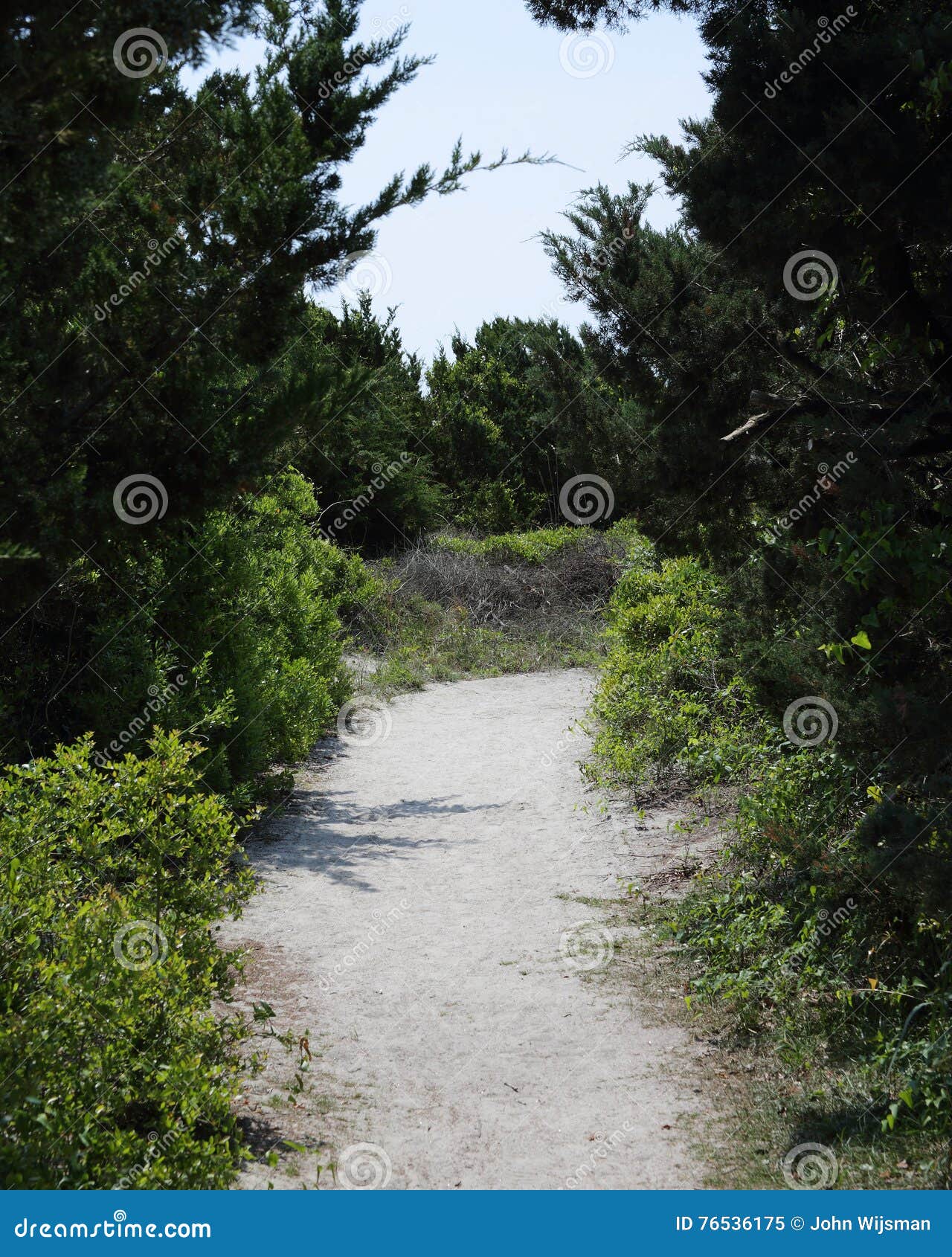 Sandy Path through Vegetation and Dunes Stock Image - Image of grass ...