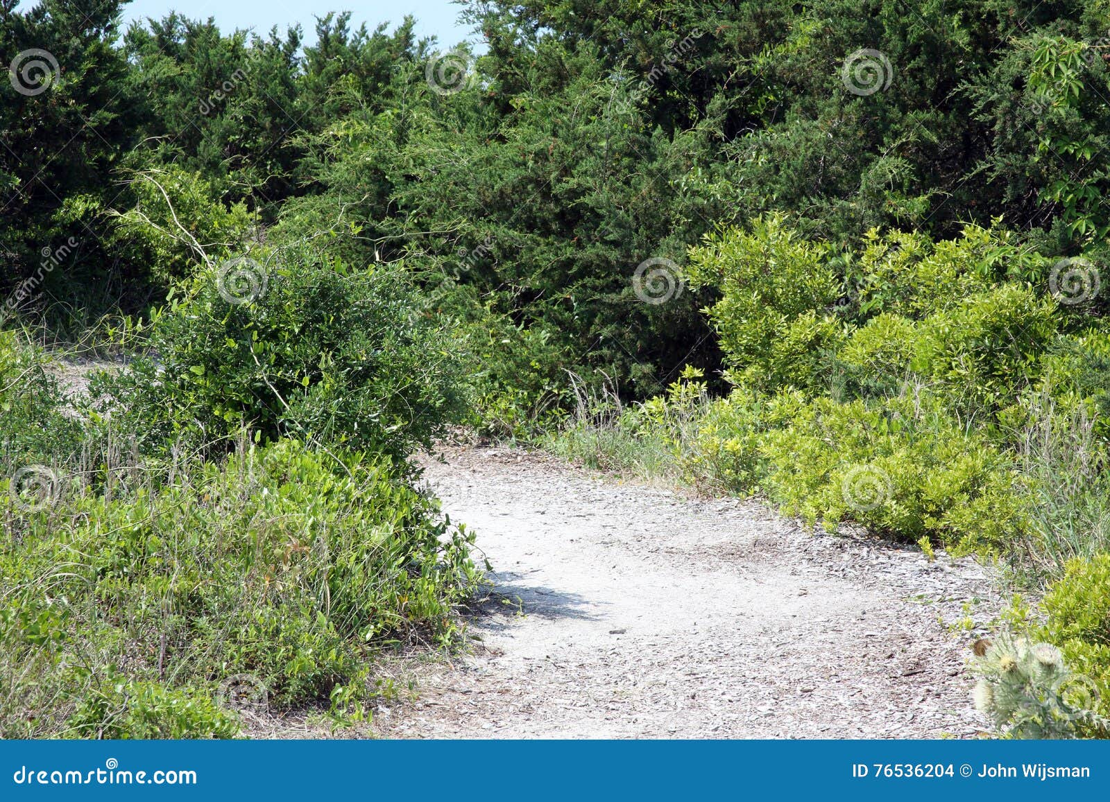 Sandy Path through Vegetation and Dunes Stock Photo - Image of ...