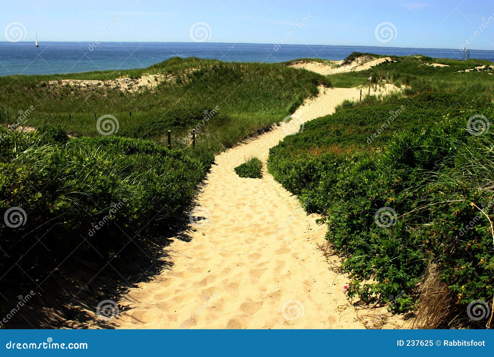 Sandy Pathway stock image. Image of america, sand, path - 237625