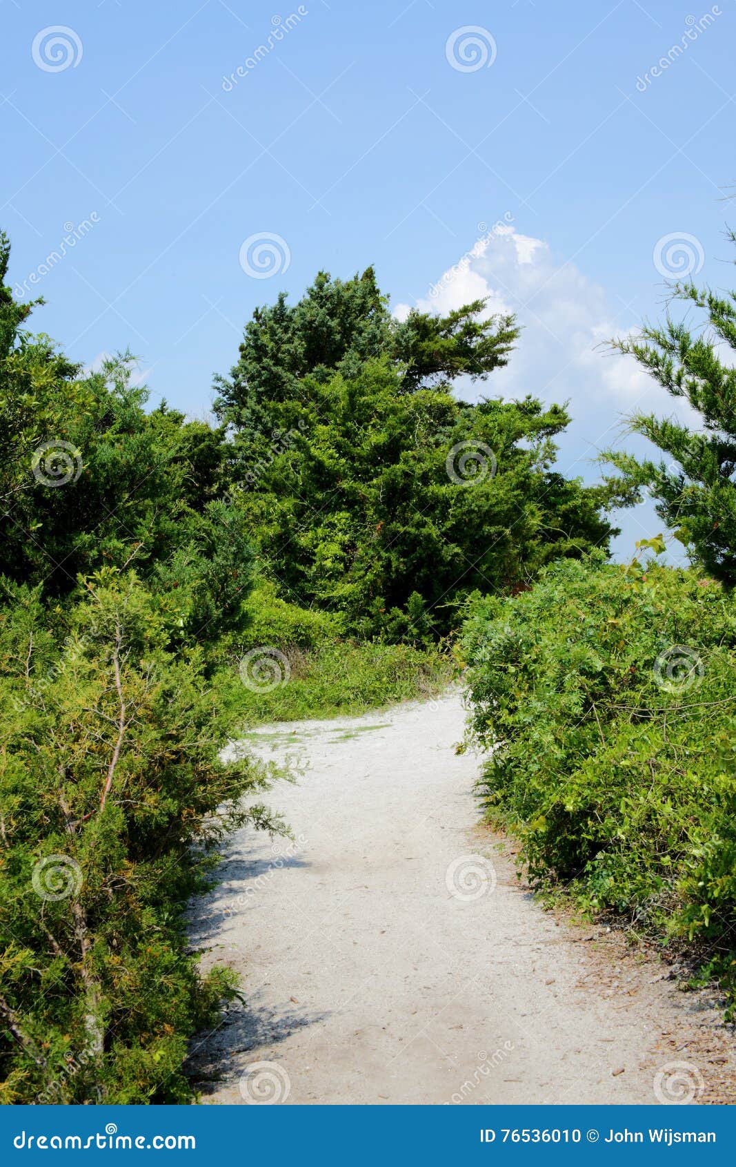 Sandy Pathway through Bushes and Vegetation Stock Photo - Image of ...