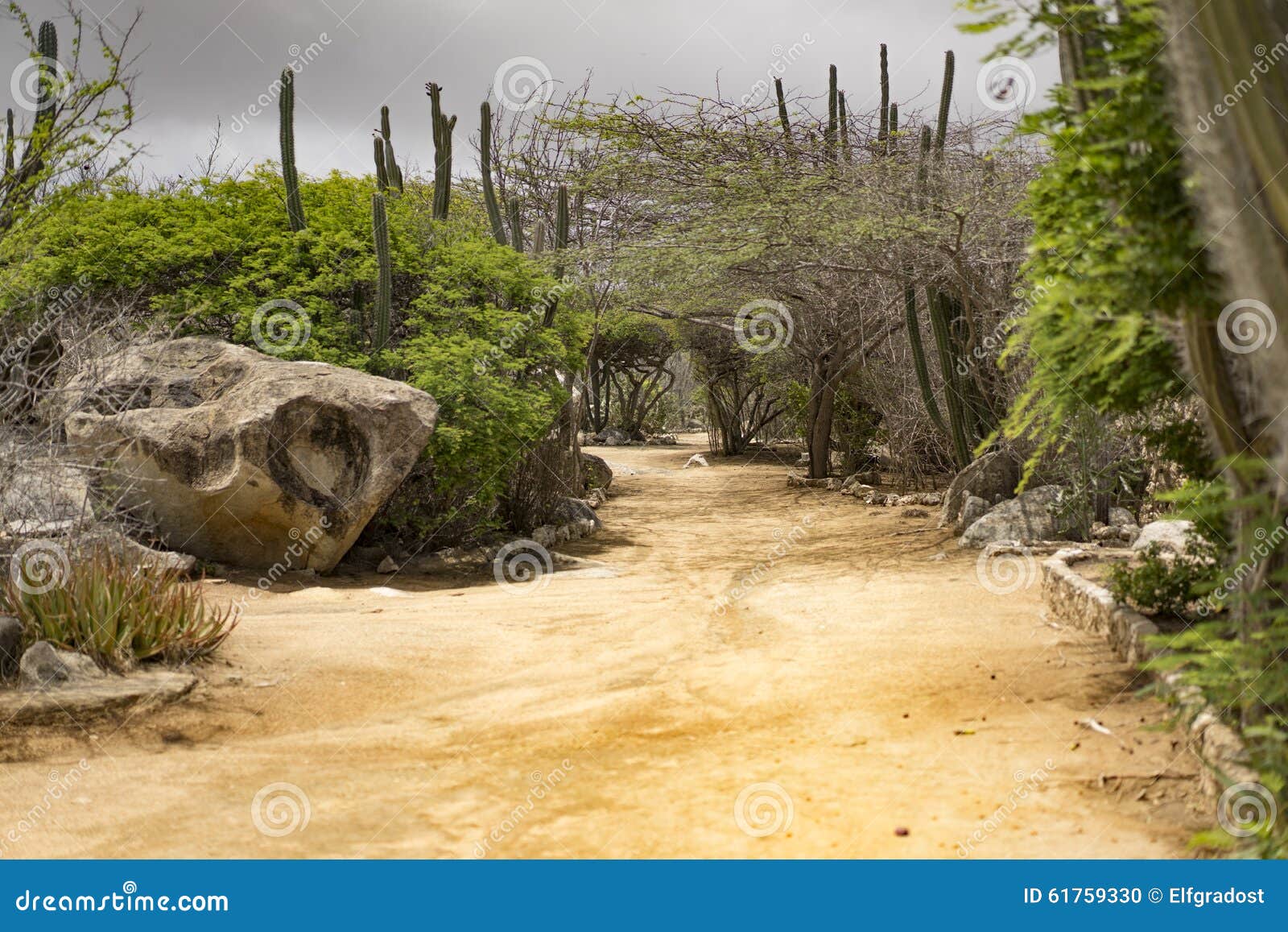 Sandy Pathway with Dark Sky in the Back Stock Photo - Image of cloudy ...