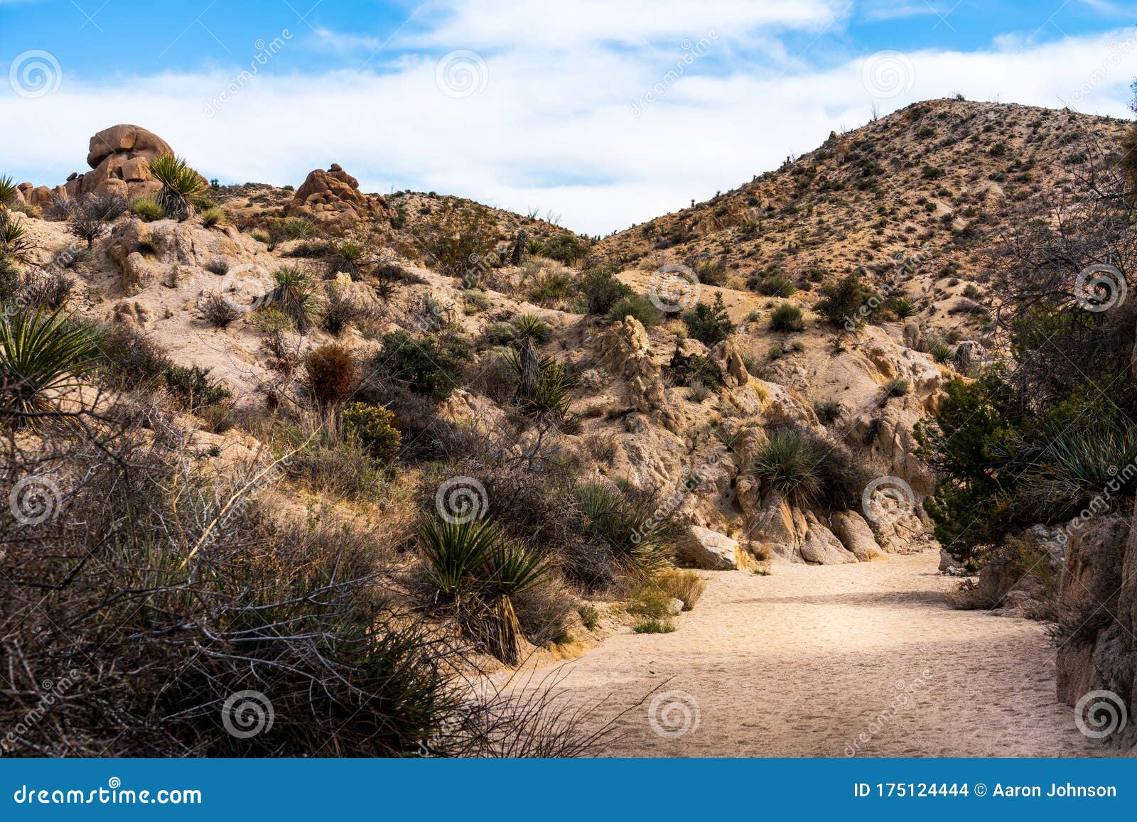 Sandy Pathway Leading into the Deep Desert Stock Photo - Image of ...