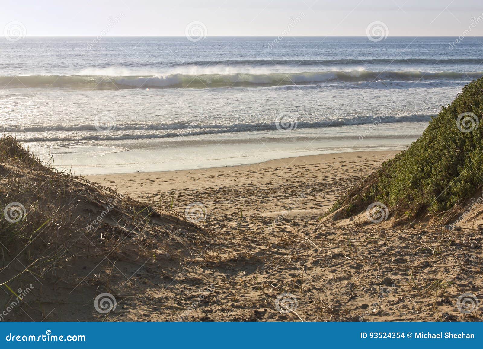 Sandy Pathway Running Through Grass Sand Dunes With A Red Life Belt At ...