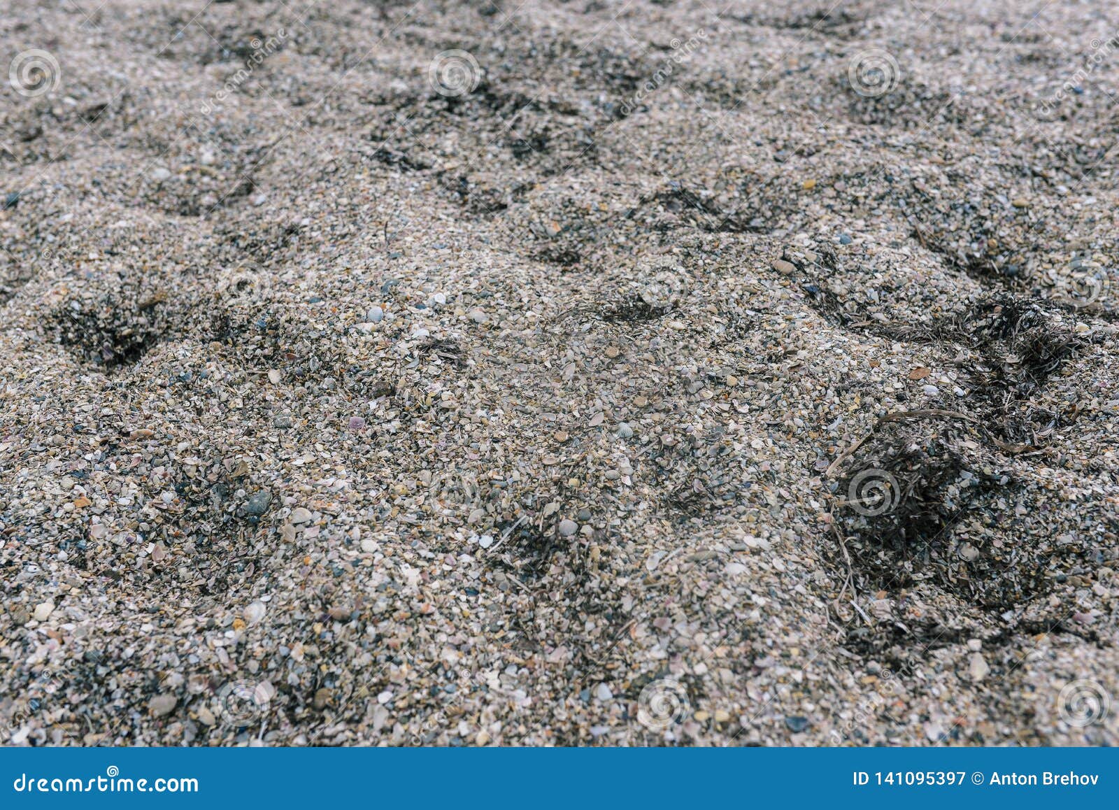 Sandy Pebbles on the Beach. the Texture of Sand and Pebbles on the ...