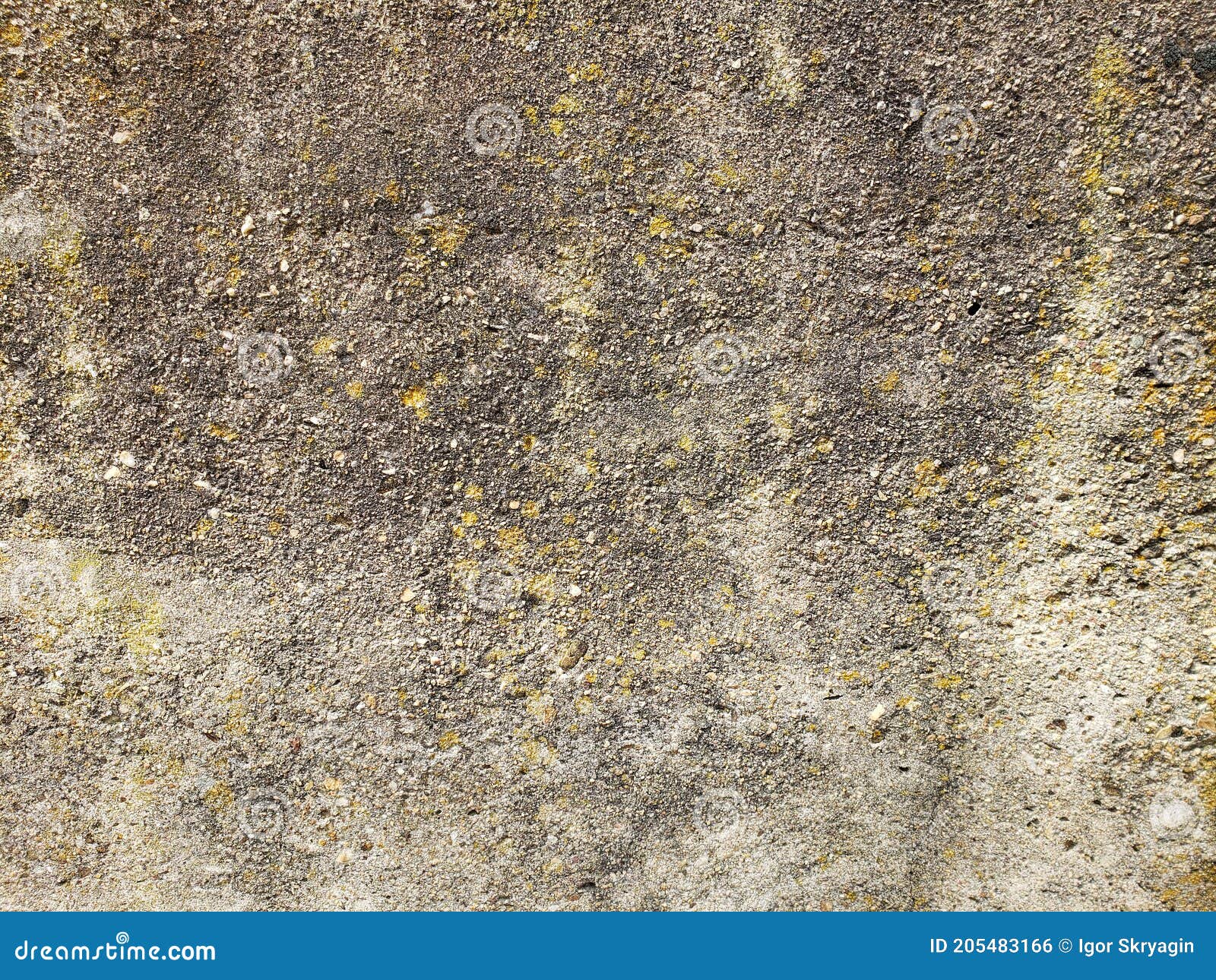 Sandy plaster background stock photo. Image of plaster - 205483166