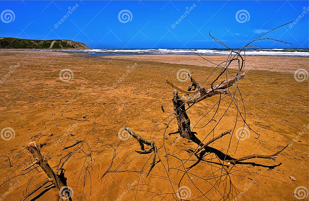 Sandy Red Beach with Branch (HDR) Stock Image - Image of summer, land ...