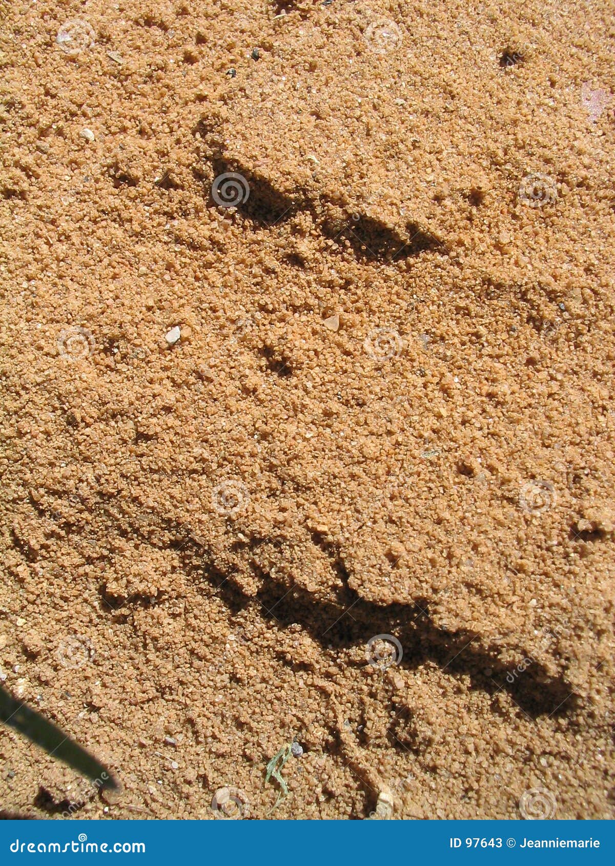 Sandy-Red Dirt stock image. Image of brown, reddish, granules - 97643