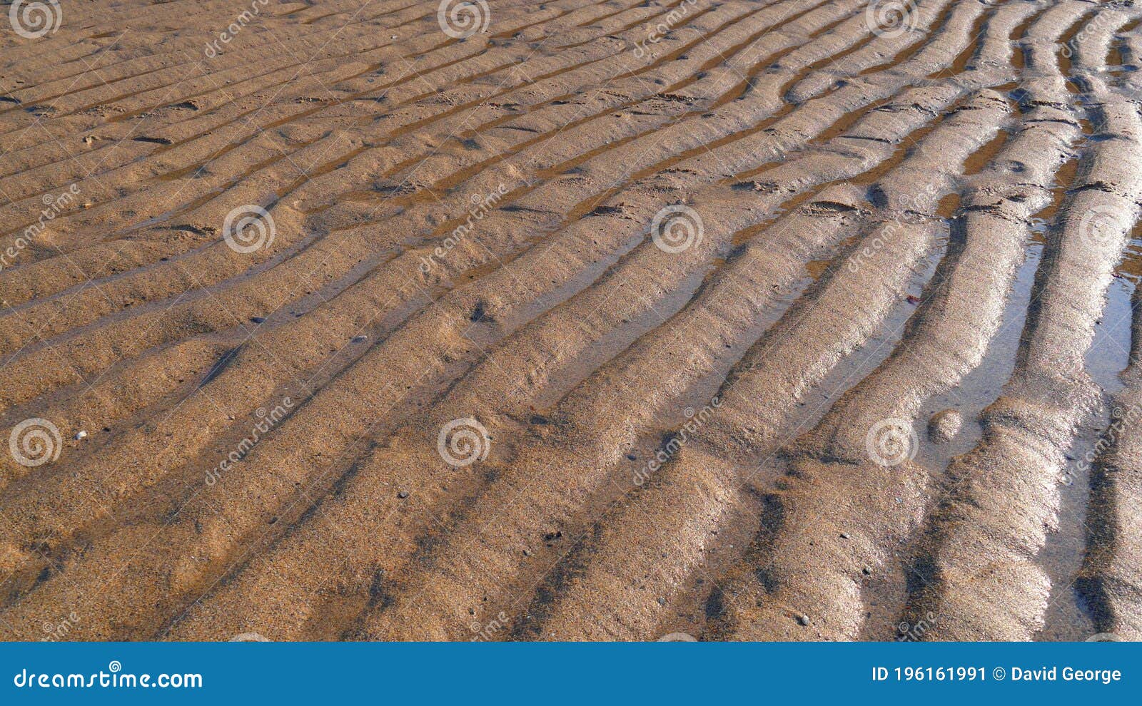 Sandy Ripple Texture on a Sunny Beach Stock Image - Image of landscape ...