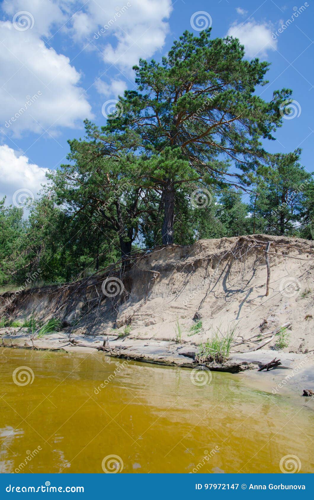 Sandy River Bank imagem de stock. Imagem de areia, floresta - 97972147