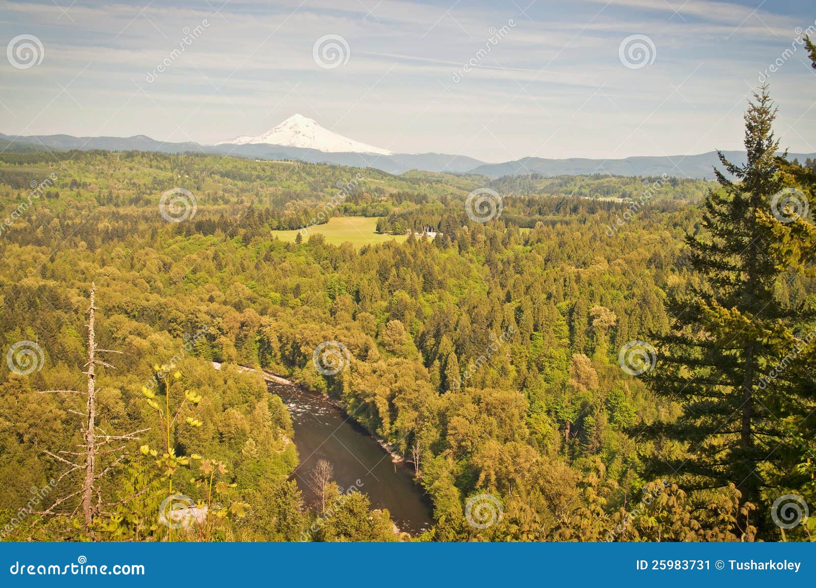 The Sandy River Valley Oregon Stock Image - Image of forest, flow: 25983731