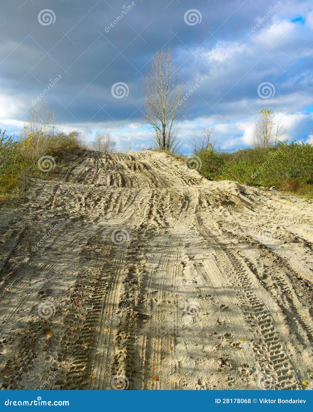 Sandy road stock photo. Image of path, landscape, ecology - 28178068