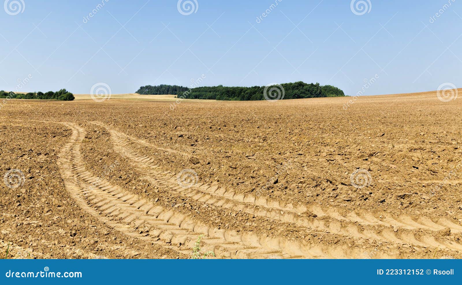 A sandy road stock photo. Image of meadow, plant, woods - 223312152