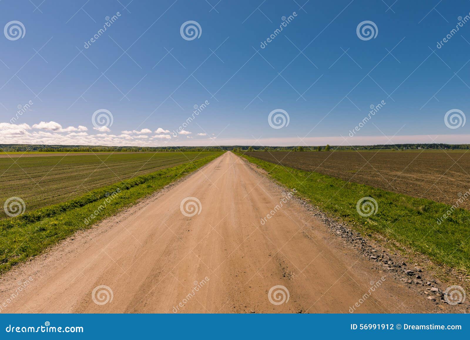Sandy road stock photo. Image of grassland, daytime, countryside - 56991912