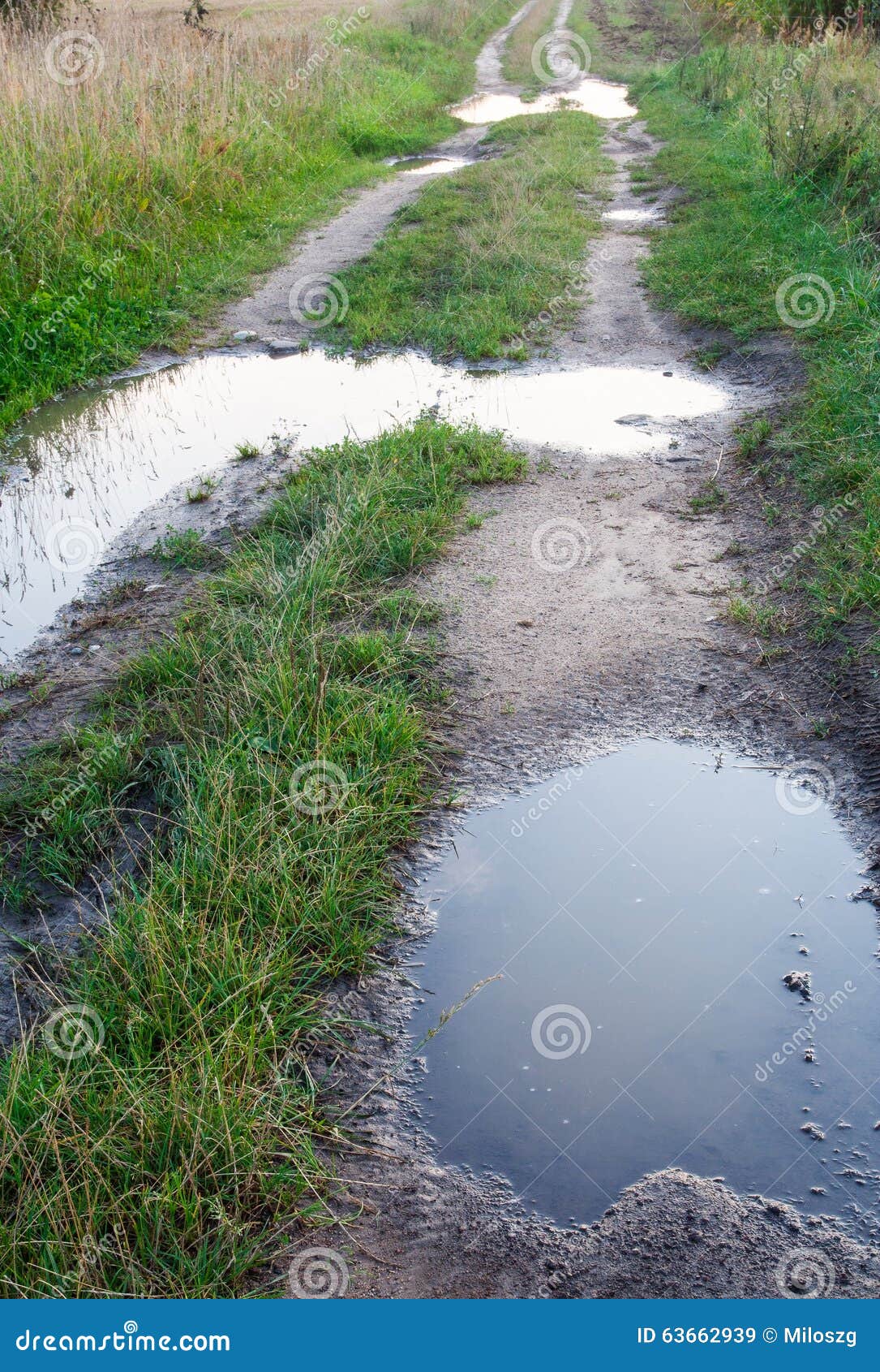 Sandy road with puddles stock image. Image of blue, outdoors - 63662939