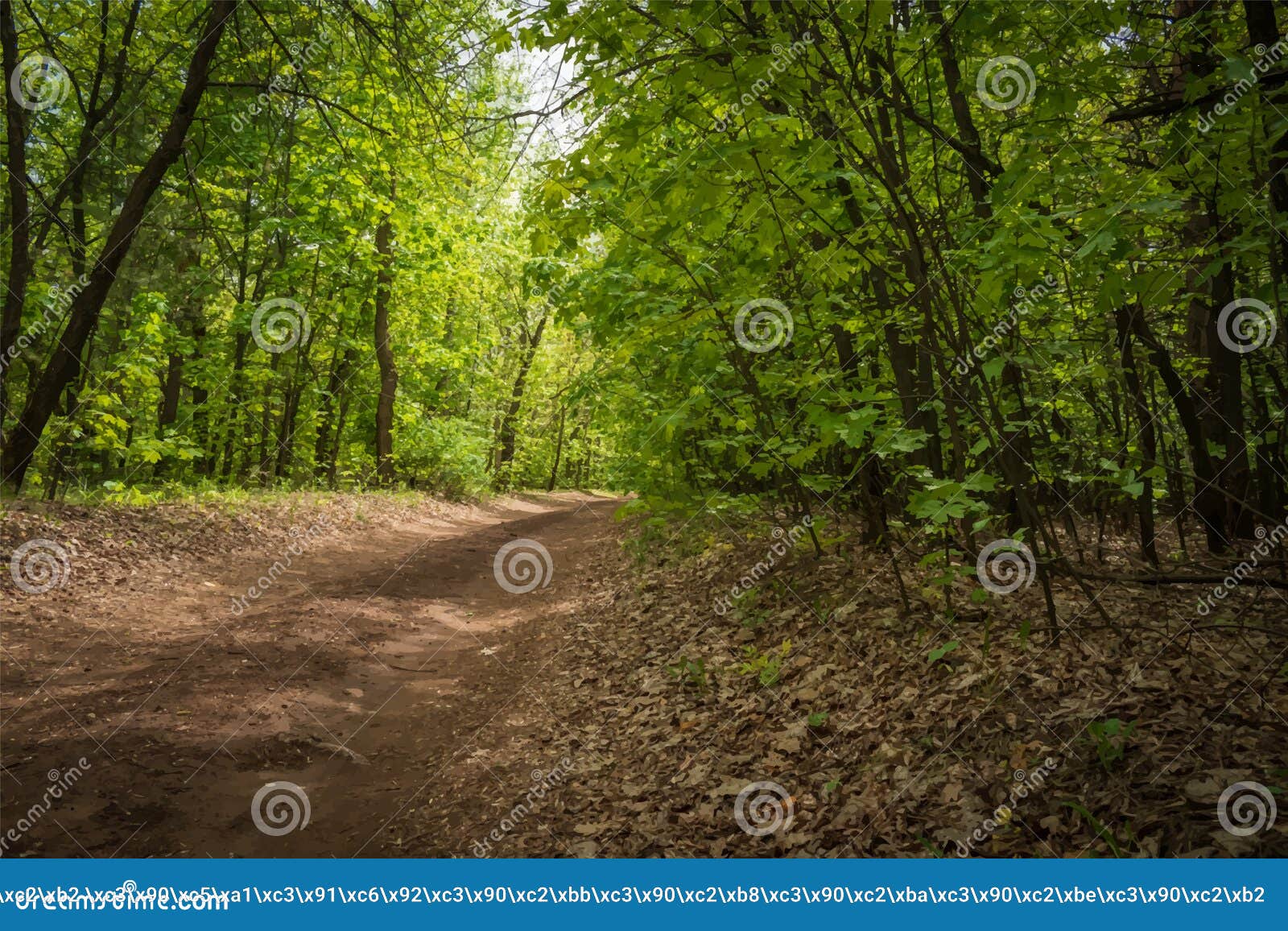 A Sandy Road in a Sunny Summer Deciduous Forest. Vector Illustration ...