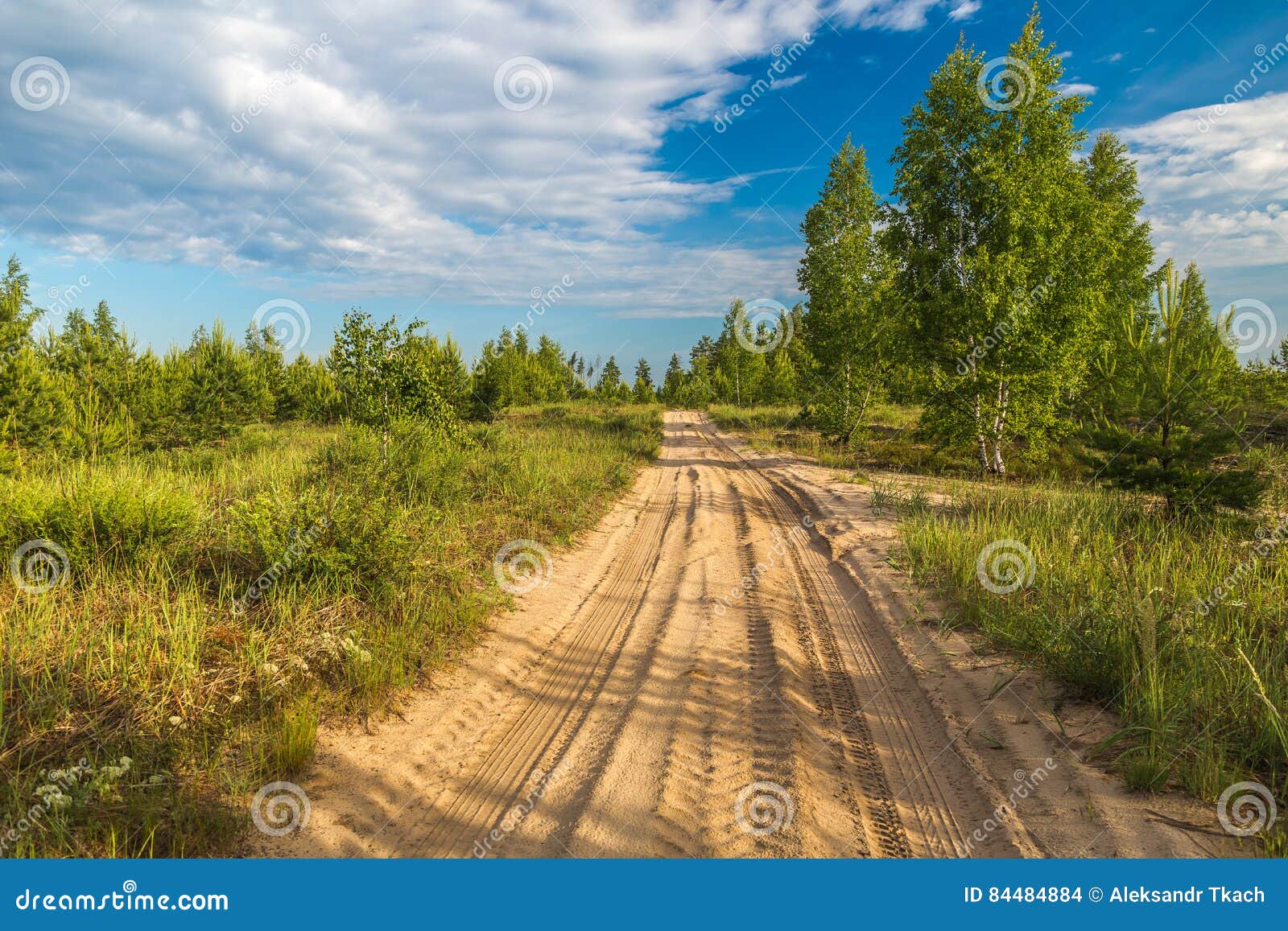 Sandy road stock photo. Image of green, sandy, road, blue - 84484884