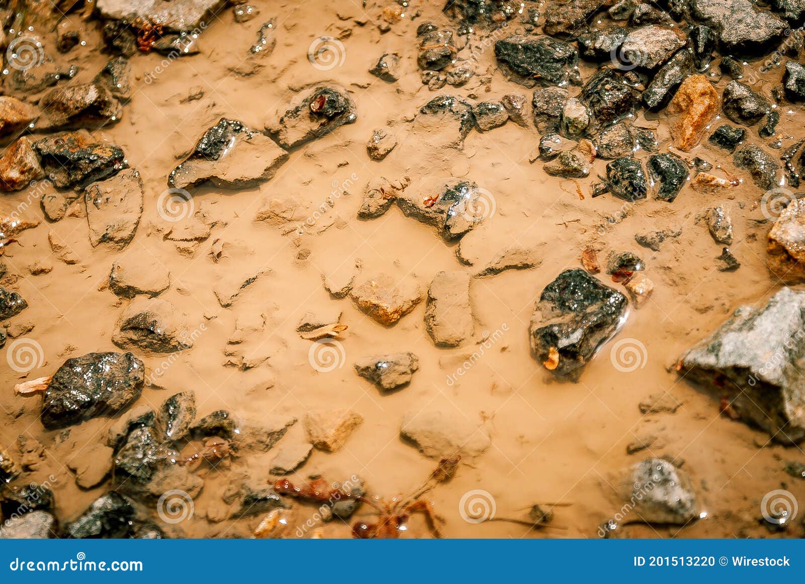 Sandy Rock Texture Under the Water Stock Photo - Image of dirty, nature ...