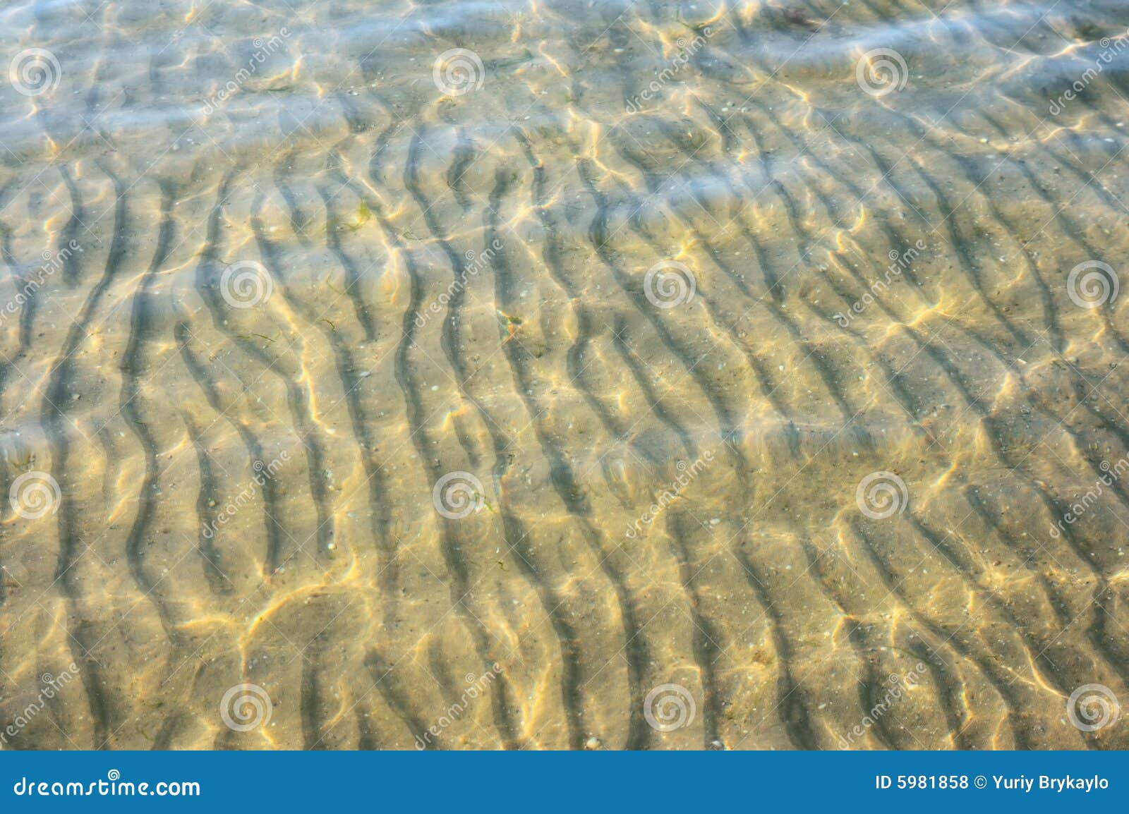 Sandy sea bottom stock photo. Image of coastal, reflection - 5981858