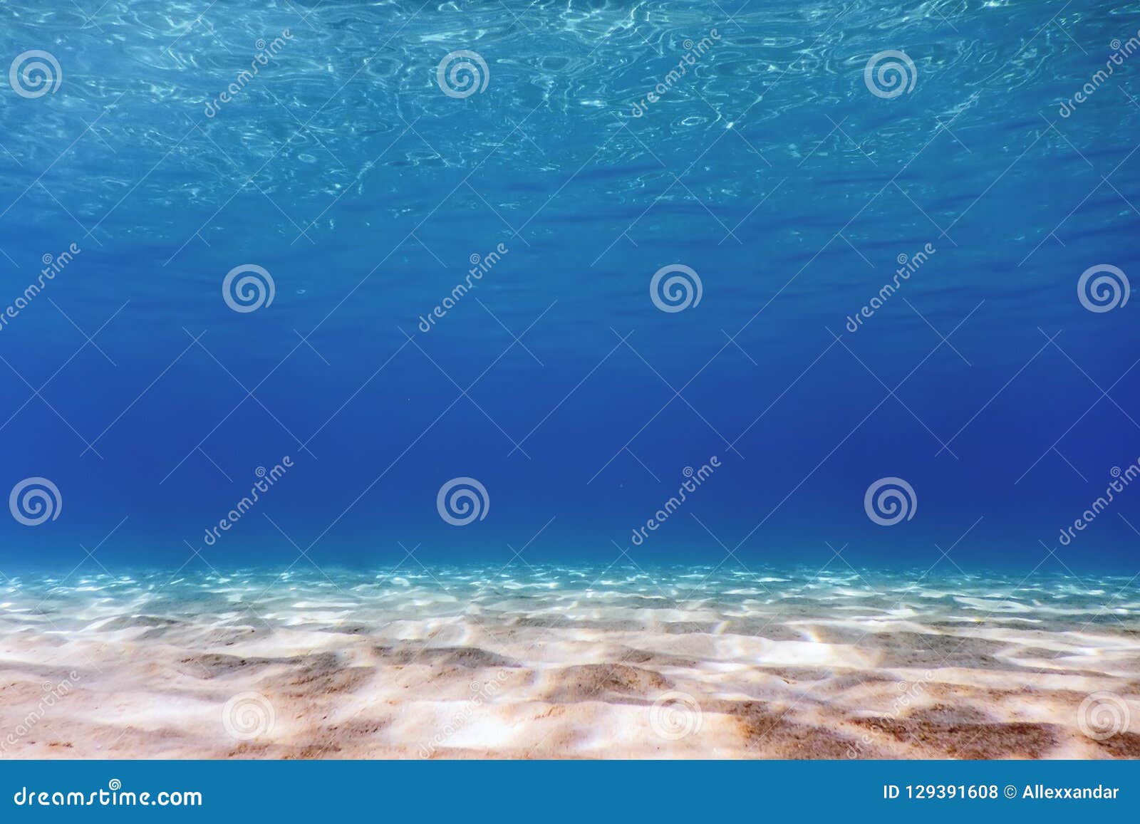 Sandy Sea Bottom Underwater Background Stock Photo - Image of nature ...