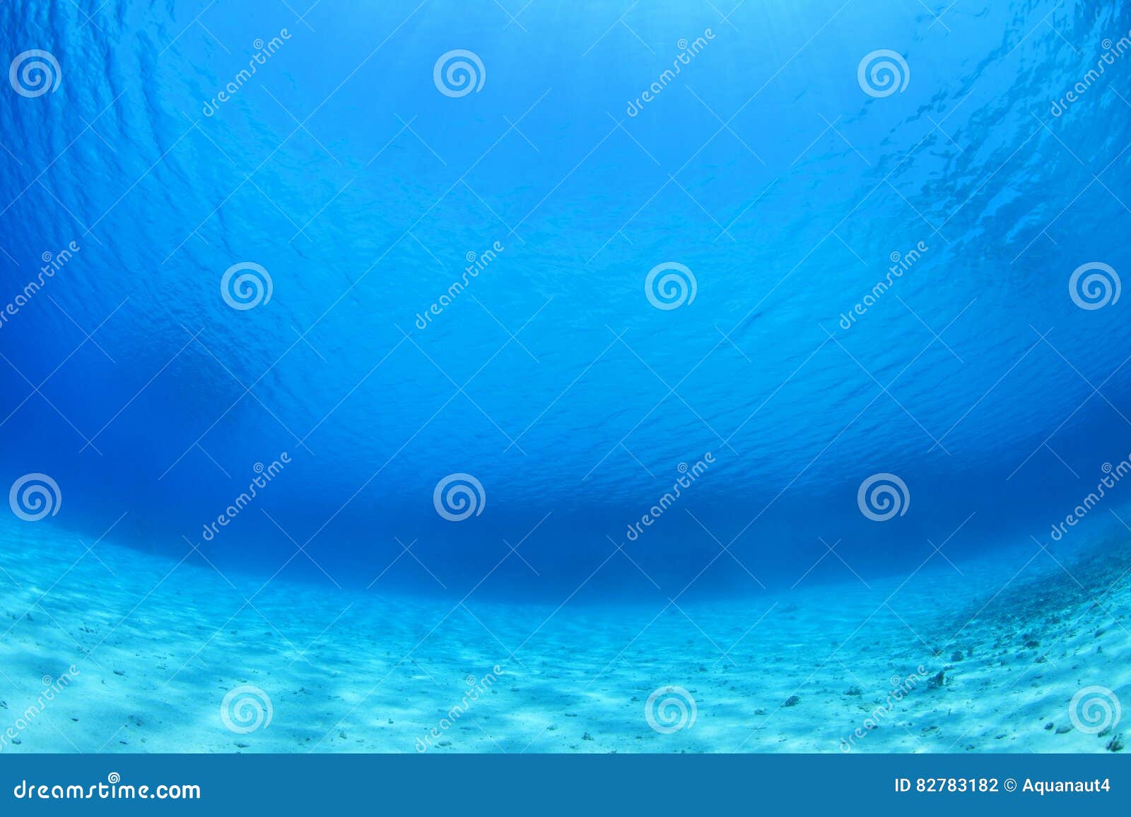 Sandy sea floor stock photo. Image of sand, egypt, deep - 82783182