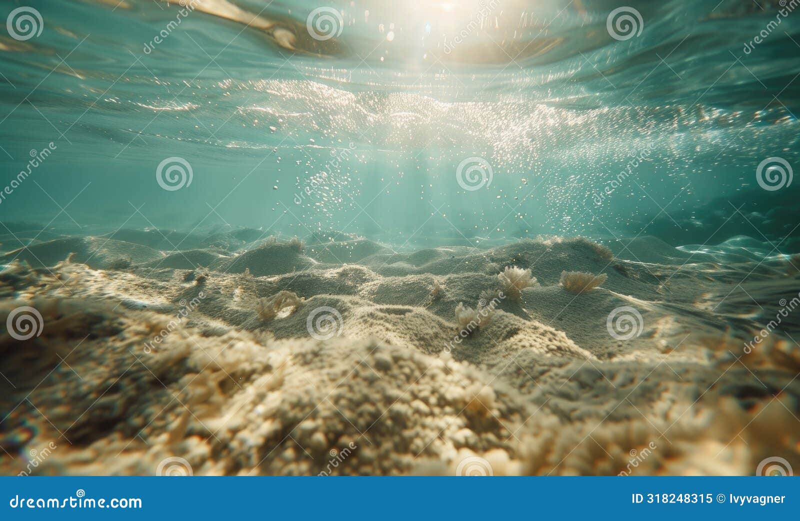 Sandy Seabed with Caustic Light Stock Image - Image of background ...