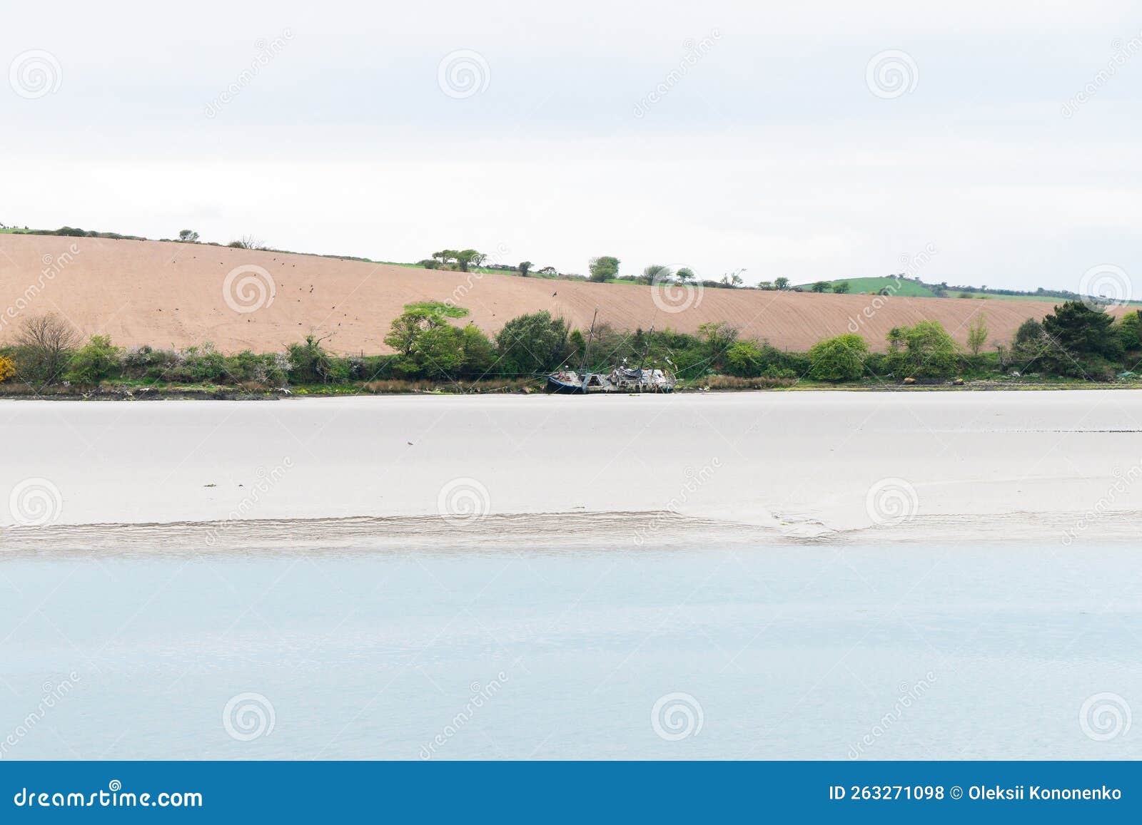 Sandy seashore. Calm water stock photo. Image of coastland - 263271098