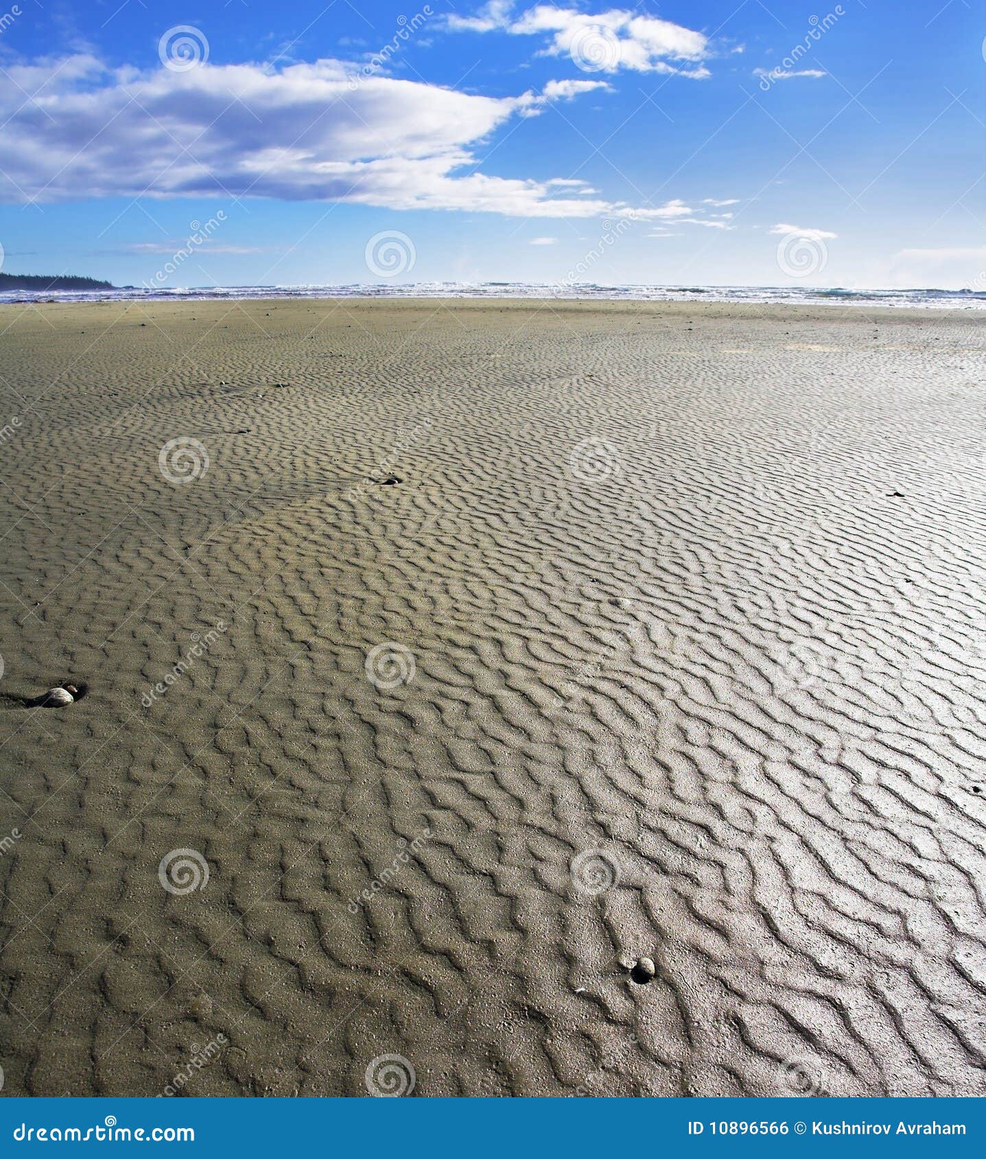 Sandy shallow on a beach stock photo. Image of panoramic - 10896566
