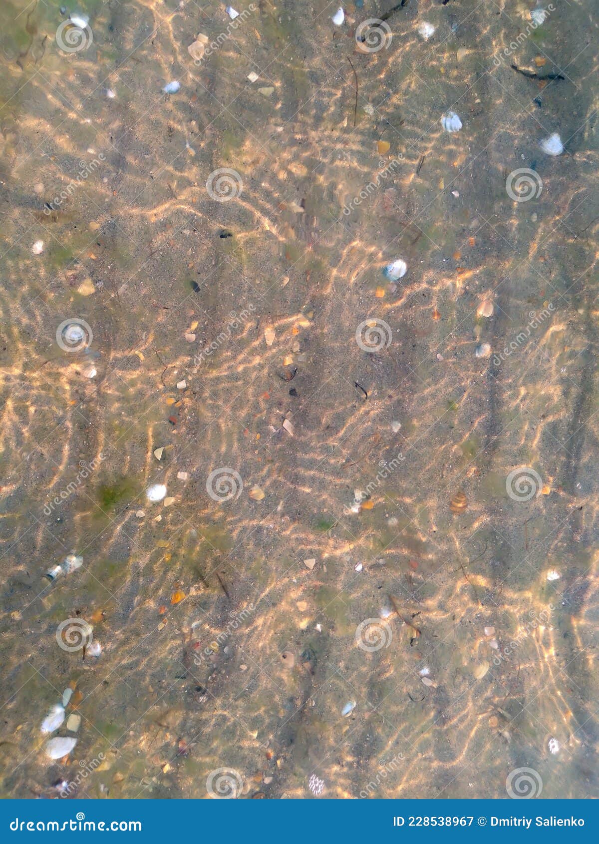 Sandy Shallow Water in the Form of Waves through the Water Surface ...