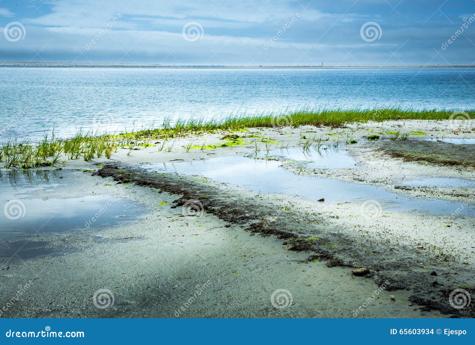Sandy Shore stock photo. Image of quiet, shore, peaceful - 65603934