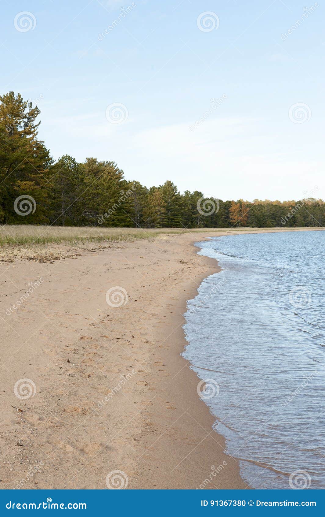 Sandy Shoreline stock photo. Image of solitude, trees - 91367380