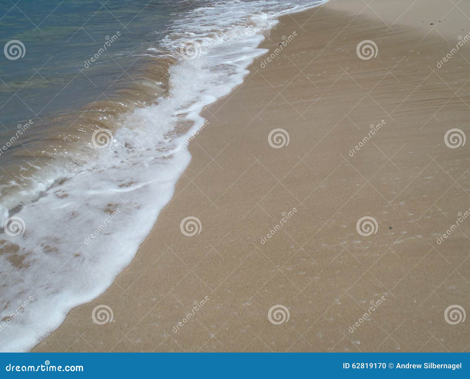 Sandy Shot photo stock. Image du plage, ondes, océan - 62819170